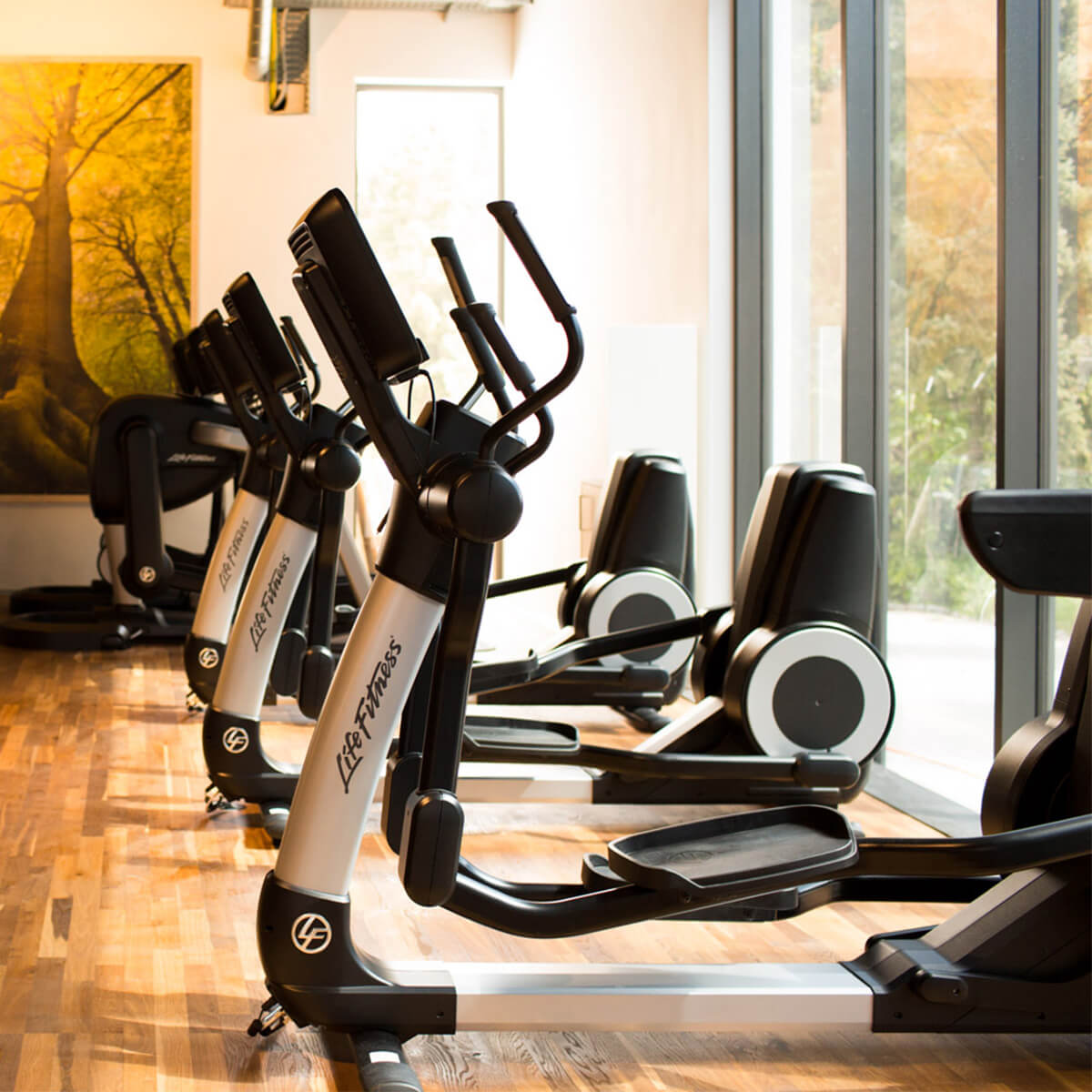 Unser Studio | Im|Puls DAS Gesundheitsstudio – Fitnessstudio Eggenstein ...